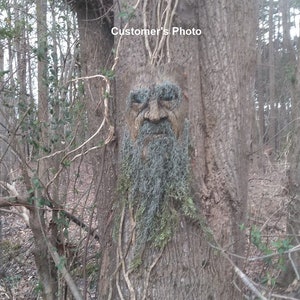 Tree Man Face - Etsy