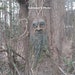 Tree Man Face - Etsy