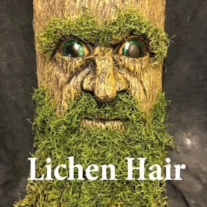 Tree Man Face - Etsy