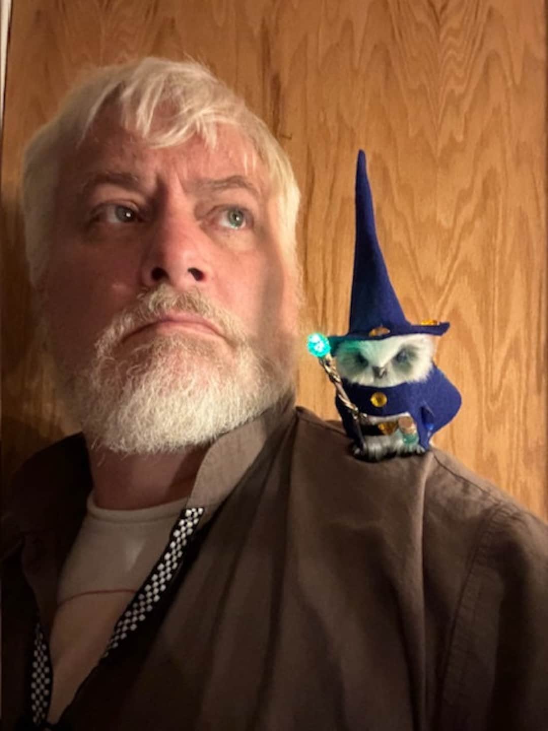 Enchanter Supreme Owlventurer Shoulder Owl - Etsy