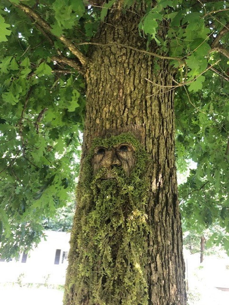 Tree Man Face - Etsy