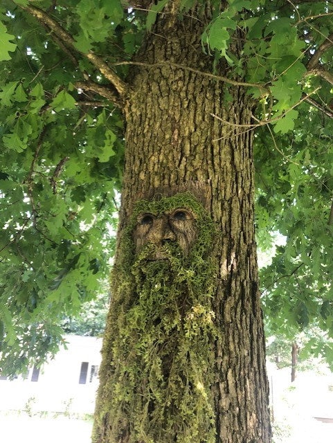 Tree Man Face | Etsy
