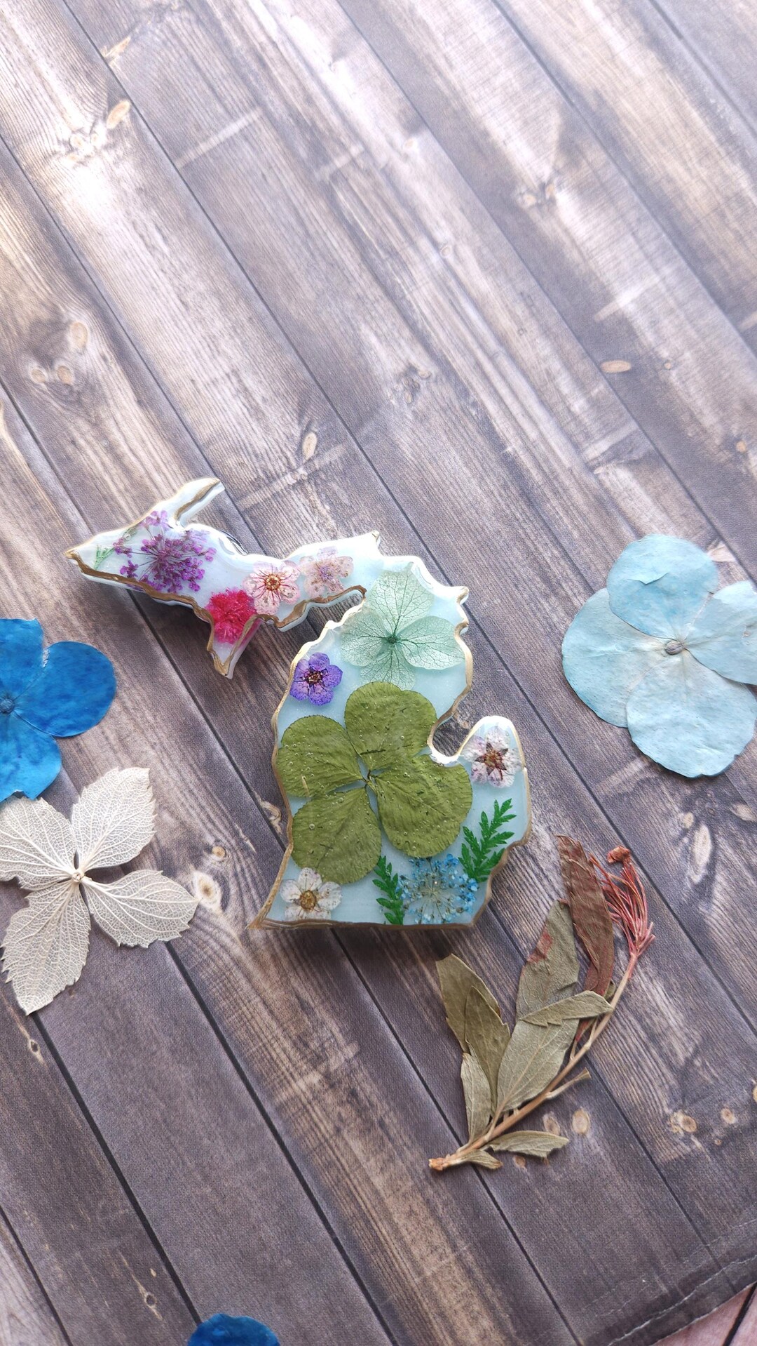 Michigan Real Four Leaf Clover Magnet - Etsy