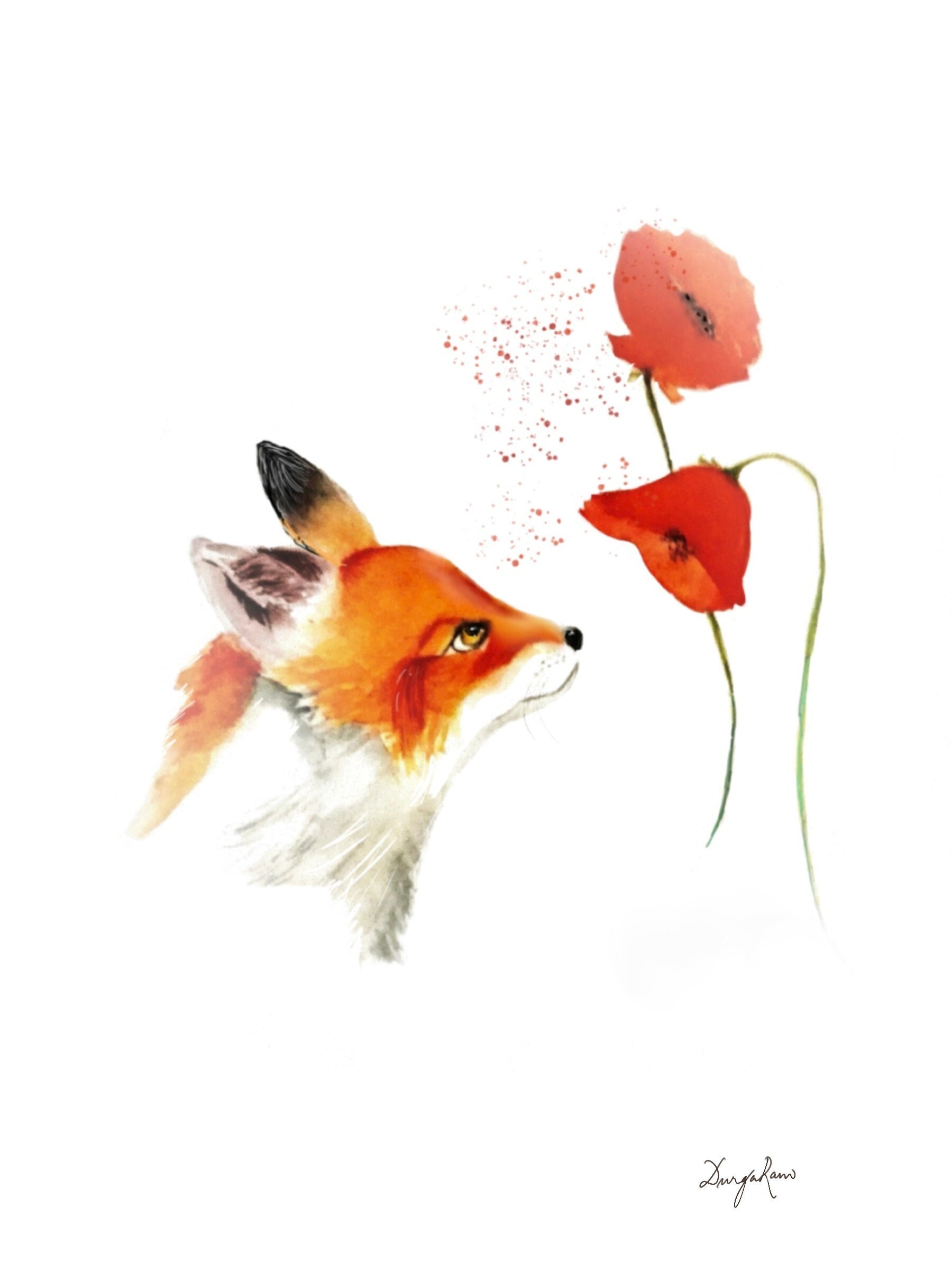 Beautiful Fox Art