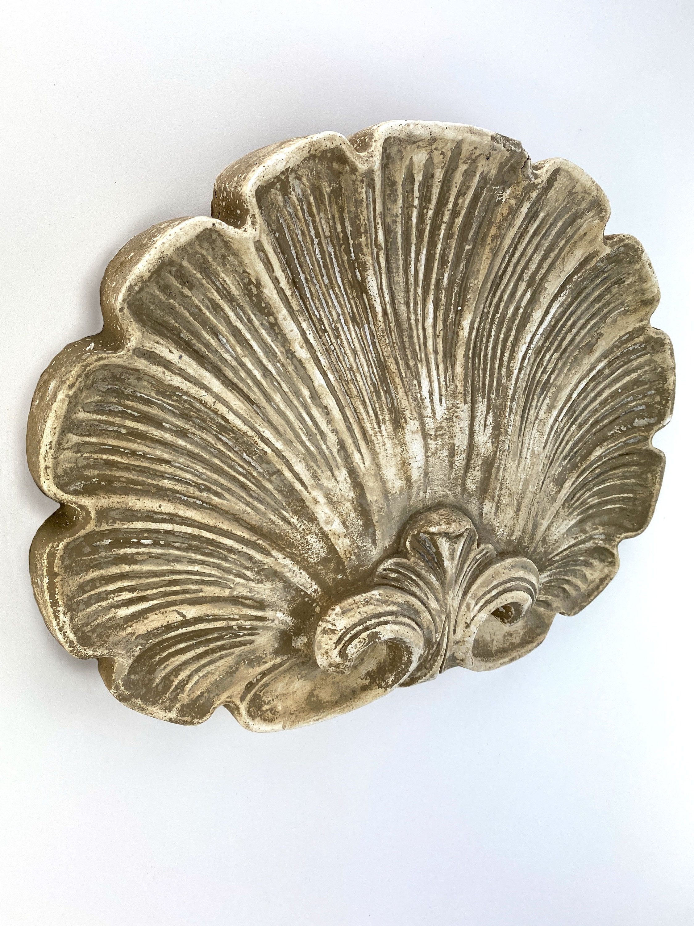 Classical Renaissance Shell Wall Hanging - Etsy
