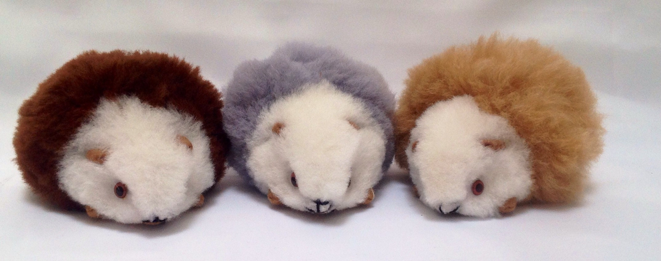 Guinea Pig - Gui - Etsy Guinea Pig - Gui - Etsy