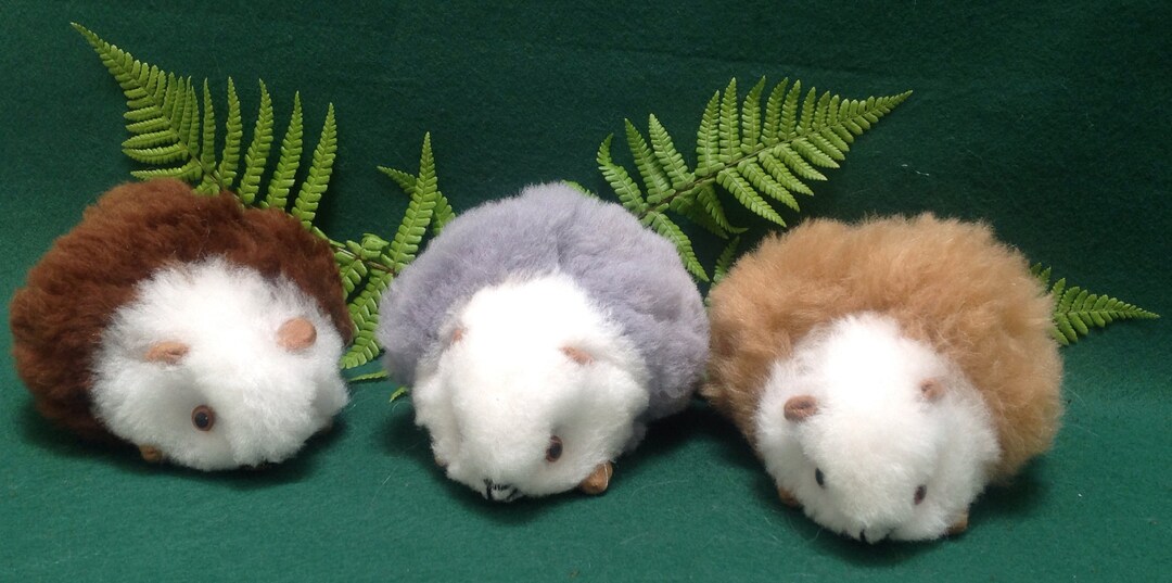Guinea Pig - Gui - Etsy