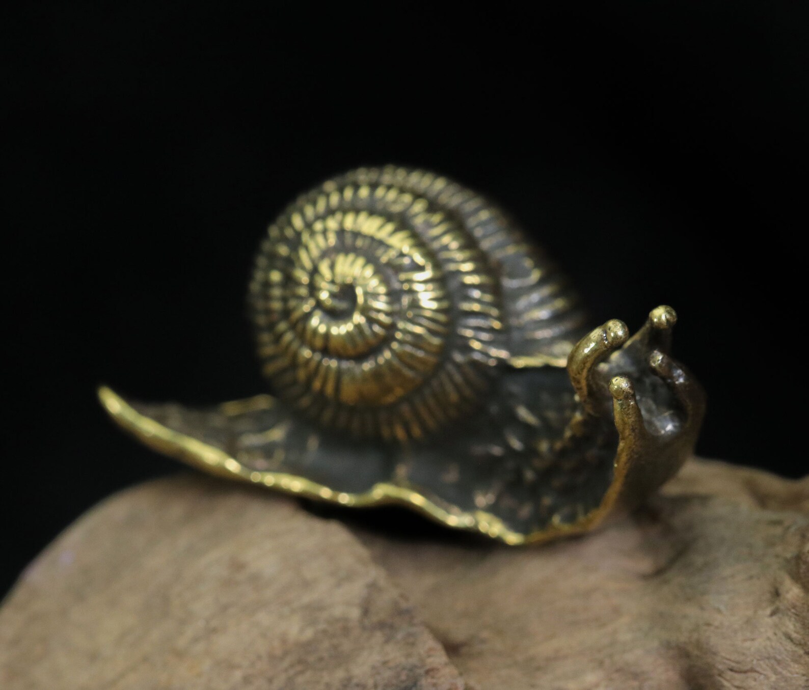 Snail Vintage Brass Mini Snail Statues Decor 3 Pcs. Size - Etsy