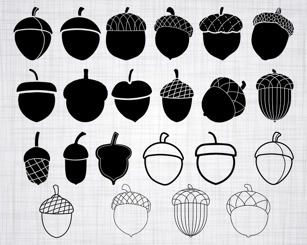 Acorn SVG Bundle Acorn SVG Acorn Clipart Acorn Cut Files | Etsy