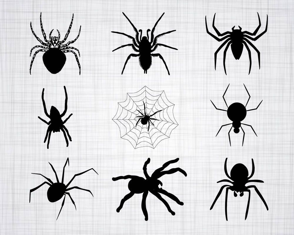Spider SVG Bundle Spider SVG Spider Clipart Spider Cut | Etsy