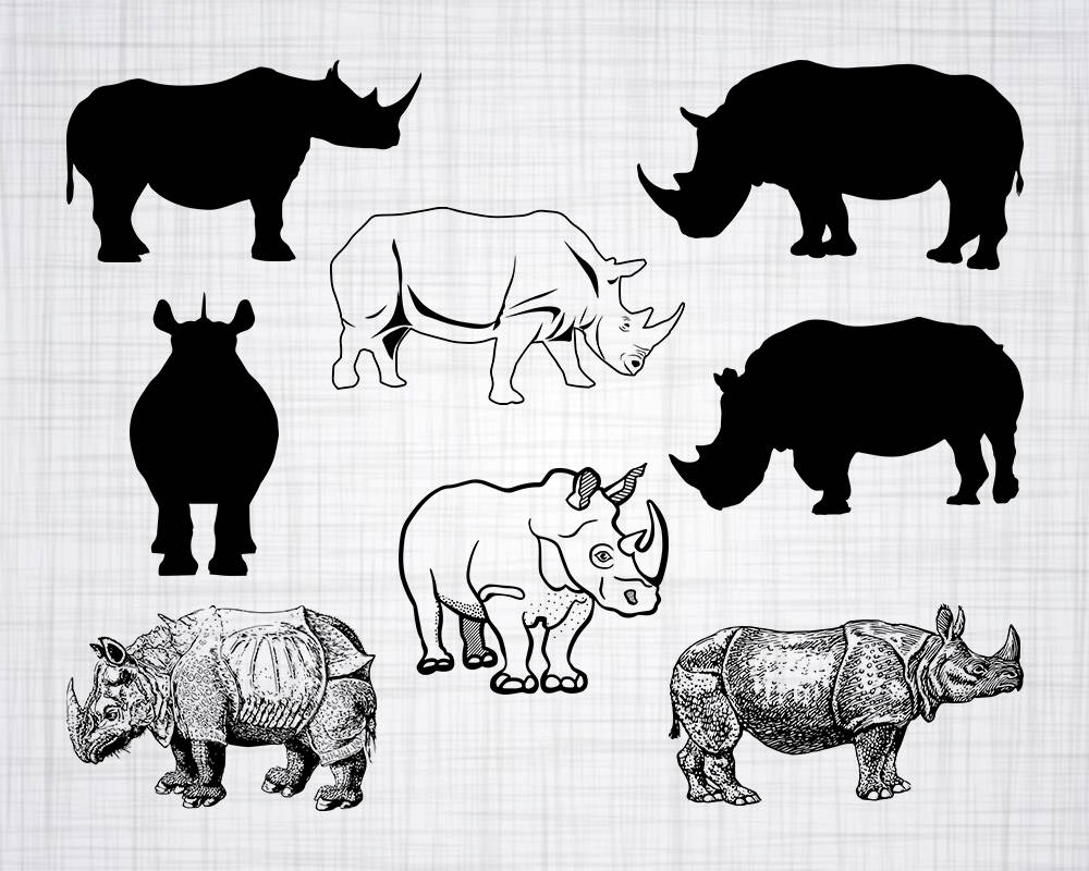 Rhino vector Rhino svg bundle Rhino clipart silhouette svg svg png ...