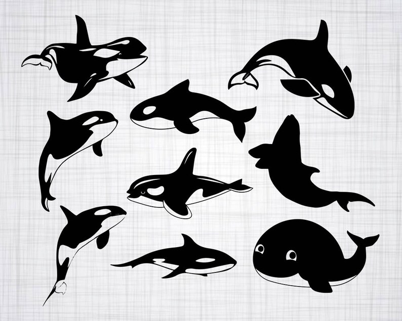 Orca SVG Bundle Killer Whale SVG Killer Whale Clipart Cut | Etsy