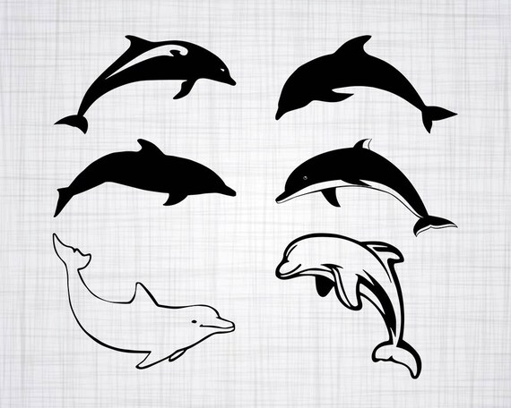 Dolphin SVG Bundle Dolphin SVG Dolphin Clipart Cut Files | Etsy