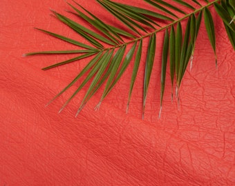 Pinatex Natural Pineapple Leather Vegan Original - Etsy