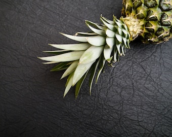 Pinatex Natural Pineapple Leather Vegan Original - Etsy