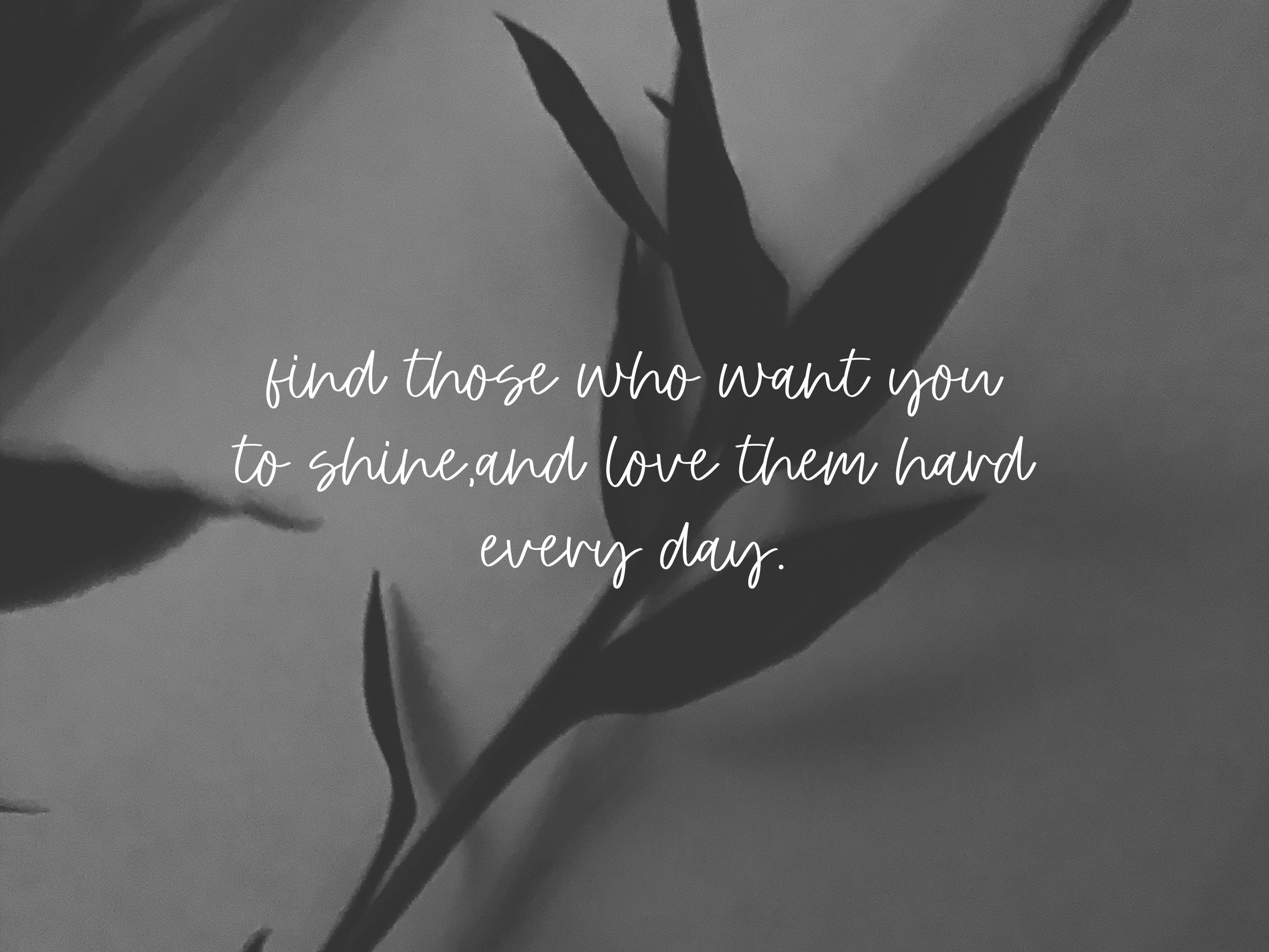 Proposal Font Handwritten Font Goodnotes Fonts Boho Font Cursive Font ...