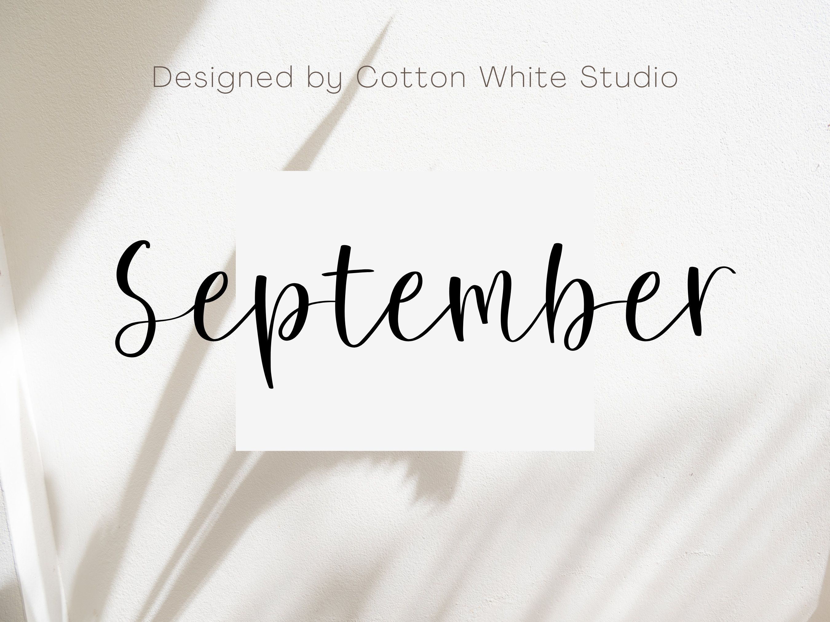 September Font Handwritten Script Font Cricut Fonts Modern Calligraphy ...