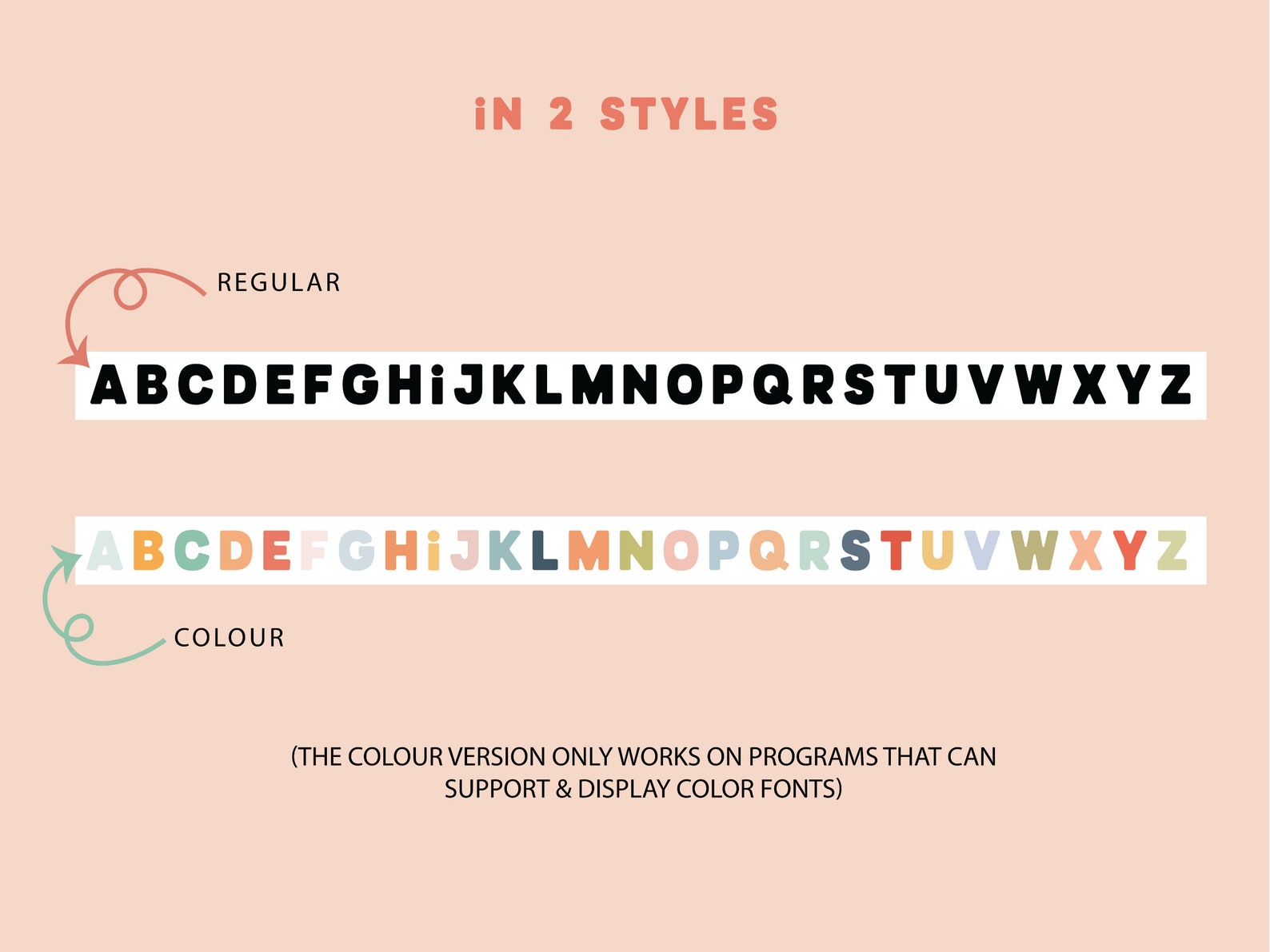 Flower Shop Bold Font | Groovy Fonts | Big Font | Collegiate Fonts ...