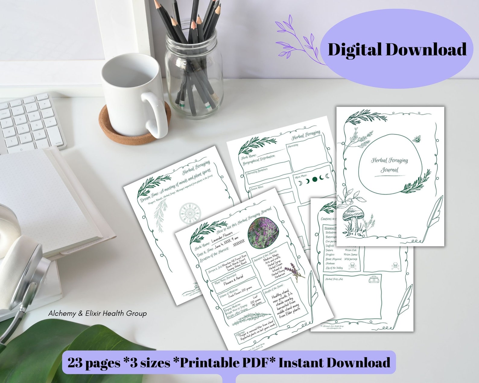 Herbal Foraging Journal: Printable, Fillable Worksheets for Herbal ...