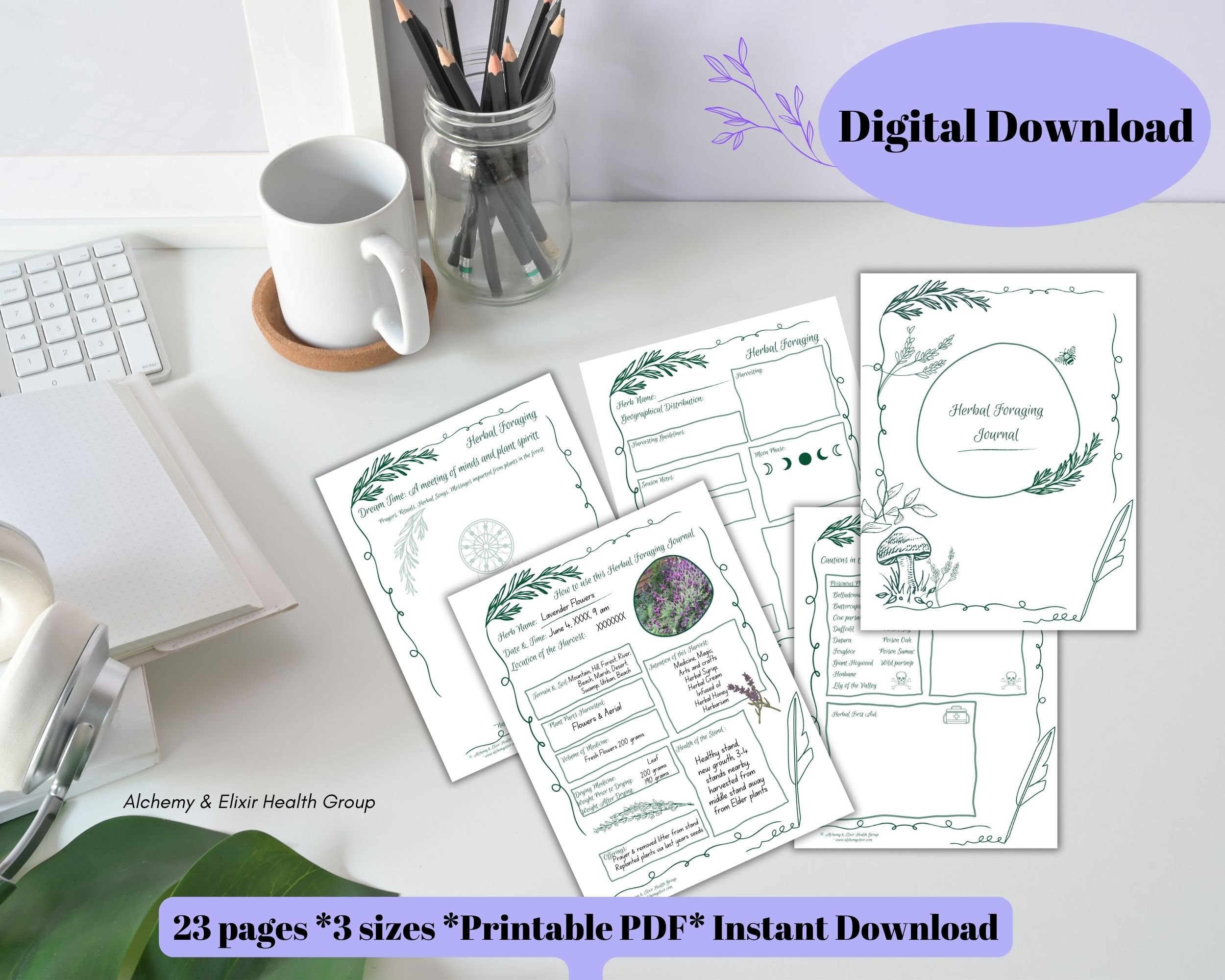 Herbal Foraging Journal: Printable, Fillable Worksheets for Herbal ...