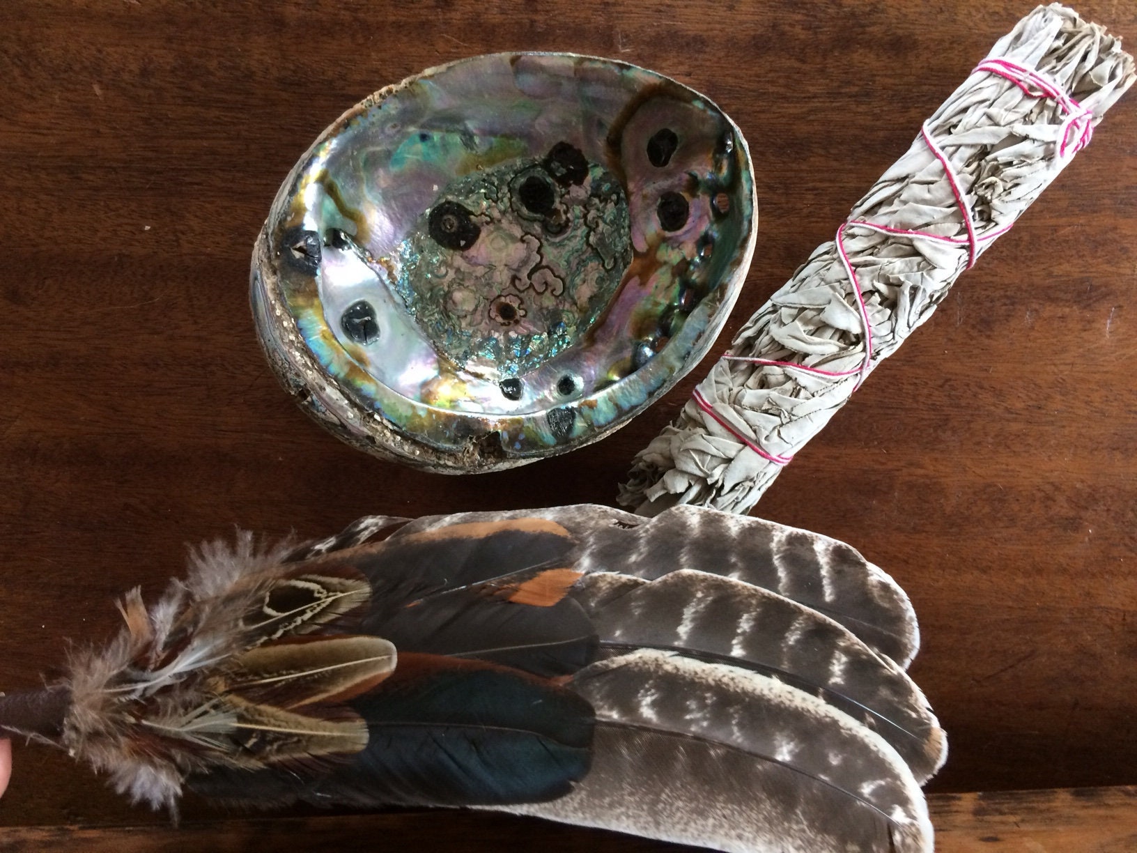 White Sage Smudge Bundle - Abalone Shell - Feather Fan - Ceremonial ...