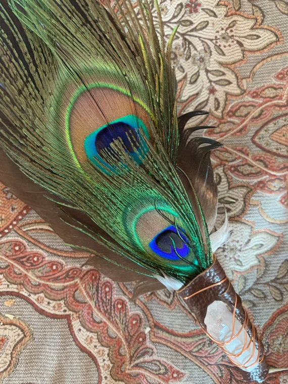 Single Peacock Feathers