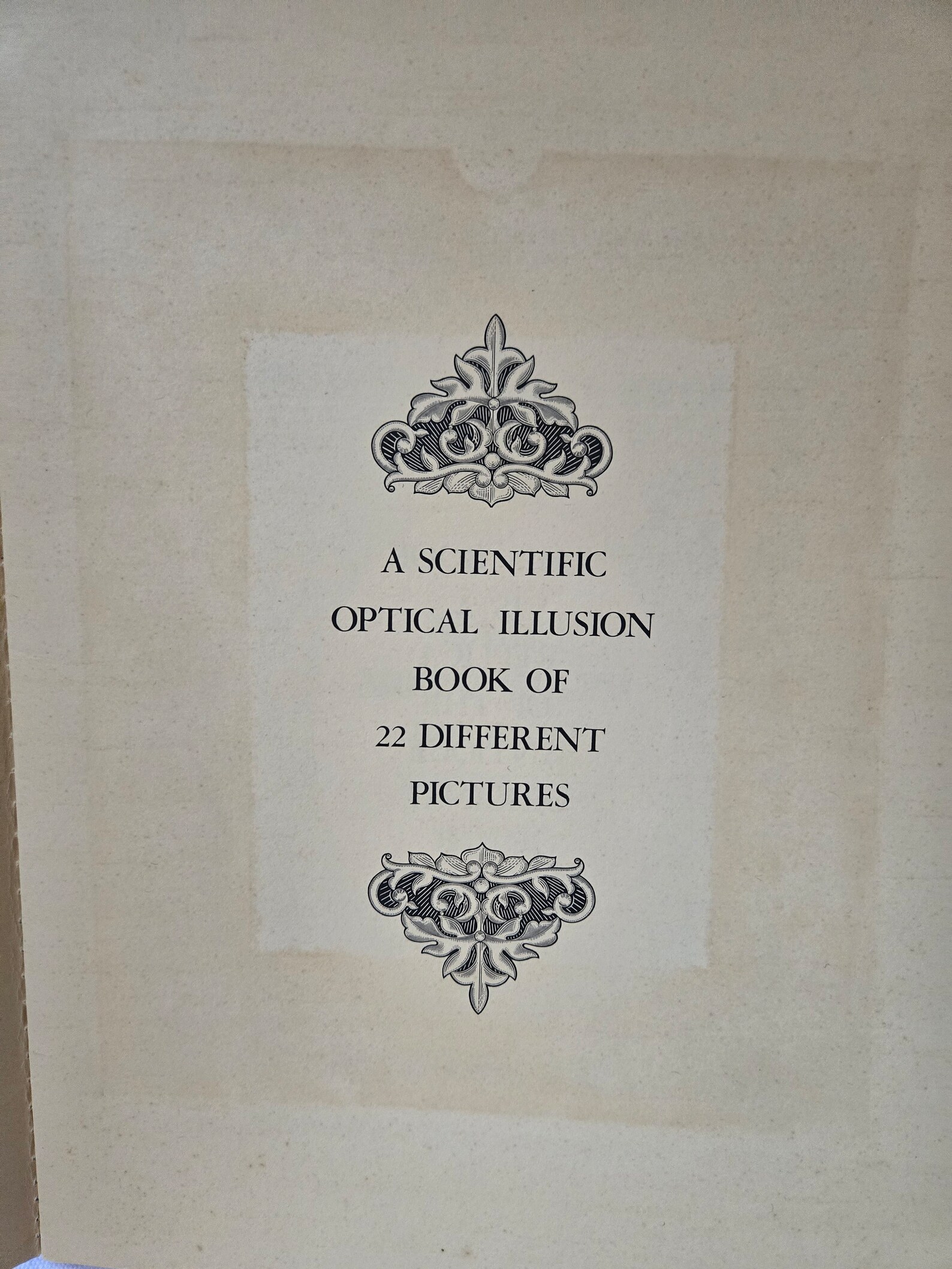 Magic Motograph Motion Picture Book/the Magic Moving Picture Book ...