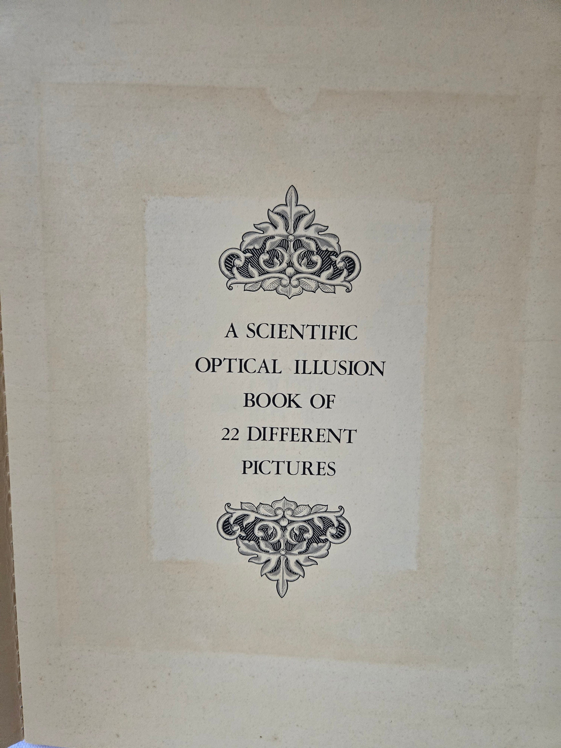 Magic Motograph Motion Picture Book/the Magic Moving Picture Book ...