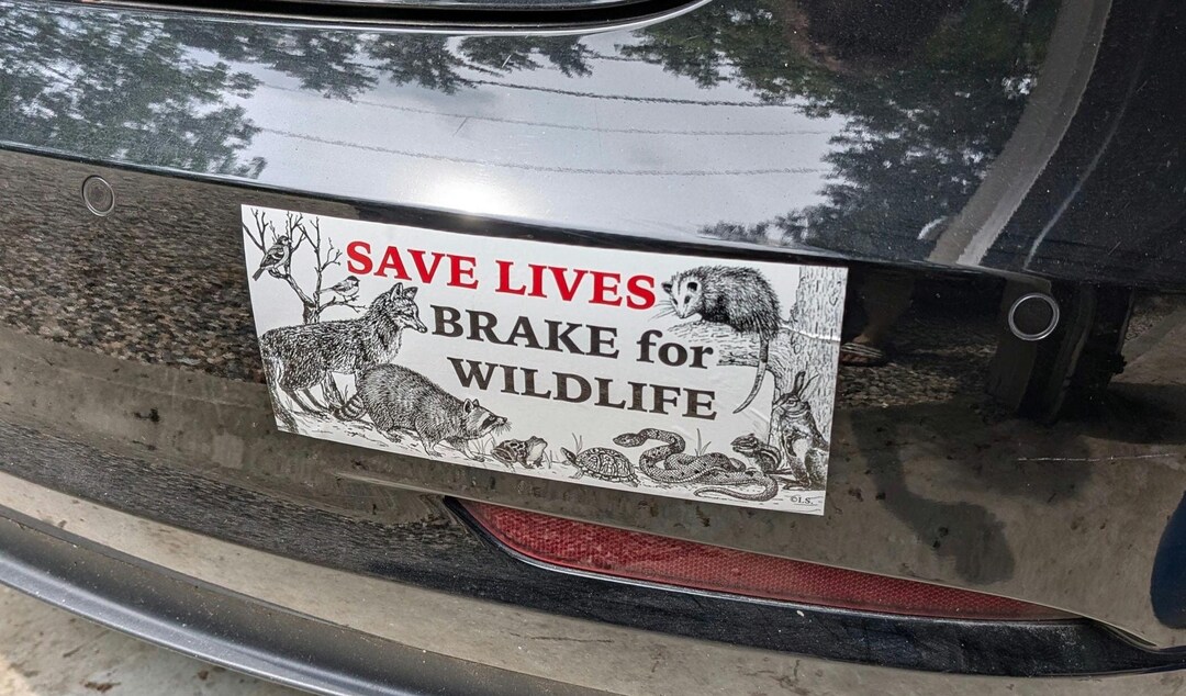 Save Lives Brake for Wildlife Bumper Sticker 10"x4.5" - Etsy