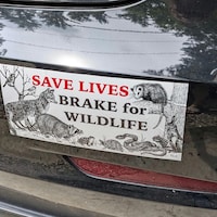 Protect Wildlife Awareness Decal, Adventure Decal, Cute Wild Animal ...