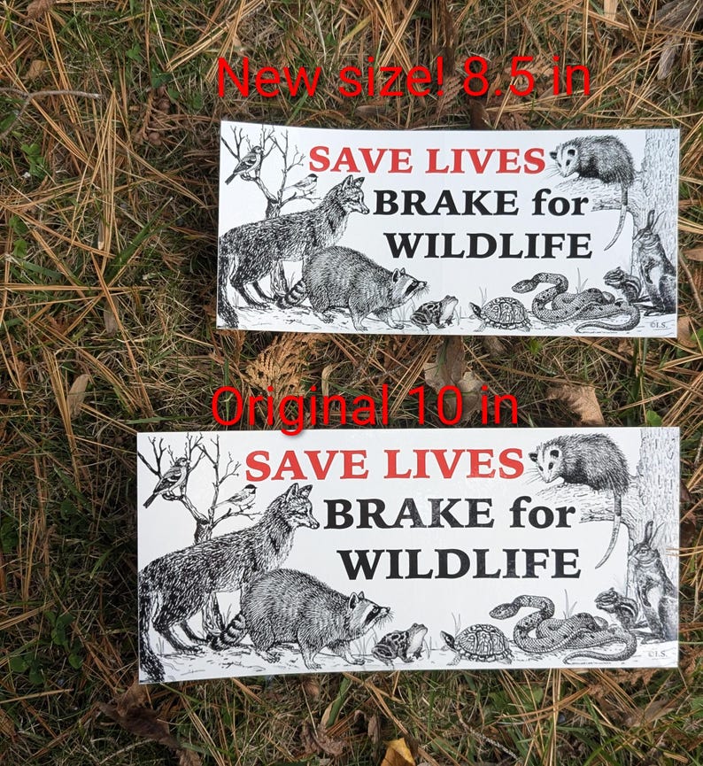 Save Wildlife Bumper Sticker, Glossy Forest Animals, 10"x4.5", USA Made ...