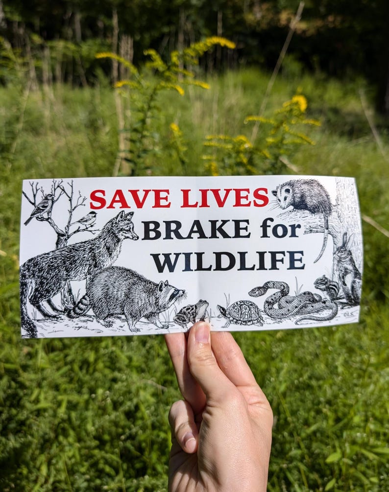 Save Wildlife Bumper Sticker, Glossy Forest Animals, 10"x4.5", USA Made ...