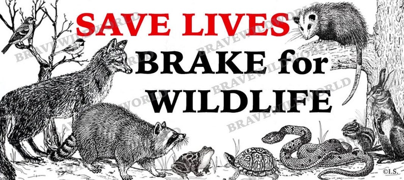 Save Wildlife Bumper Sticker, Glossy Forest Animals, 10"x4.5", USA Made ...