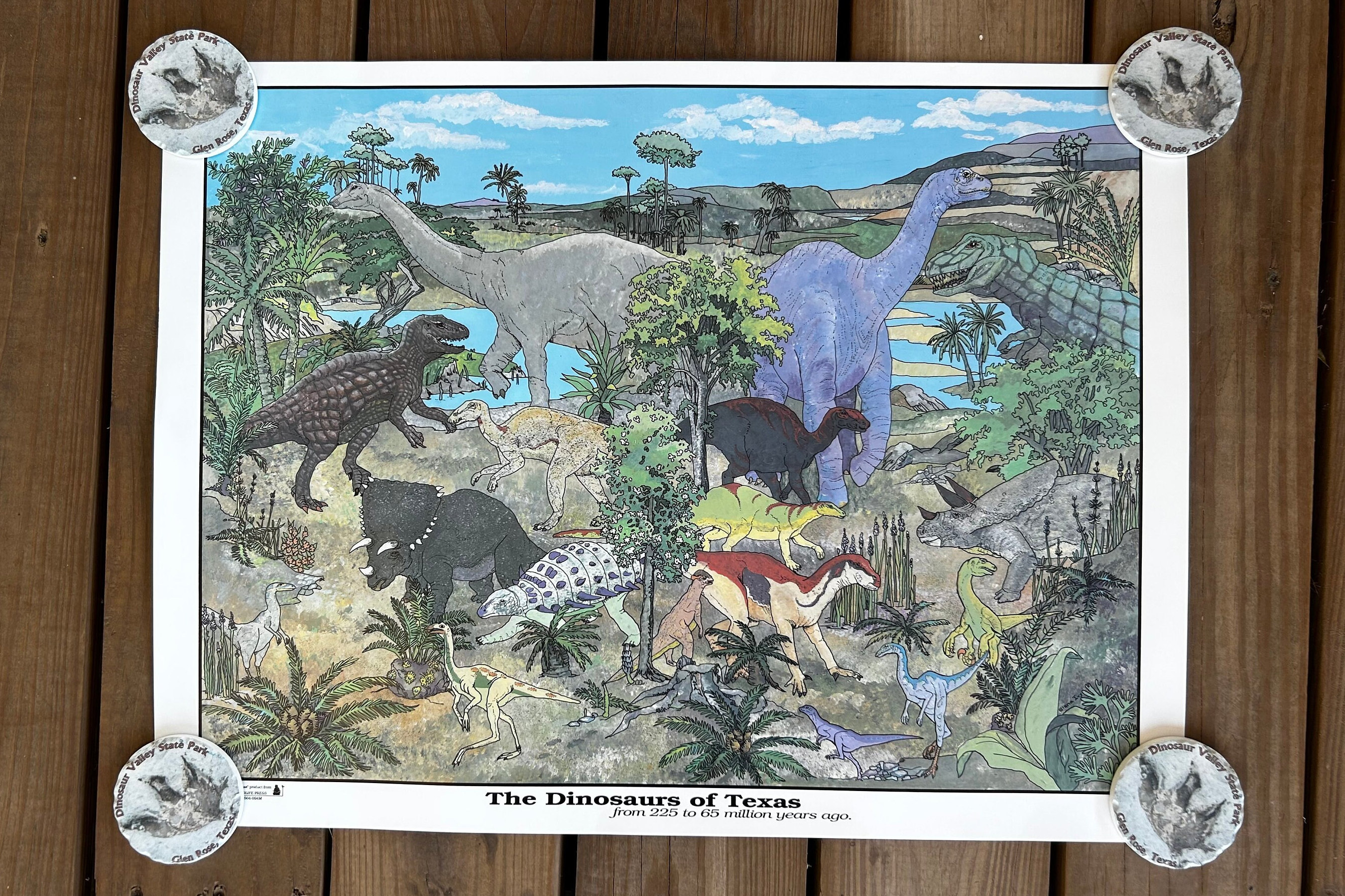 Dinosaur Valley State Park- Dinosaurs of Texas Poster - Etsy
