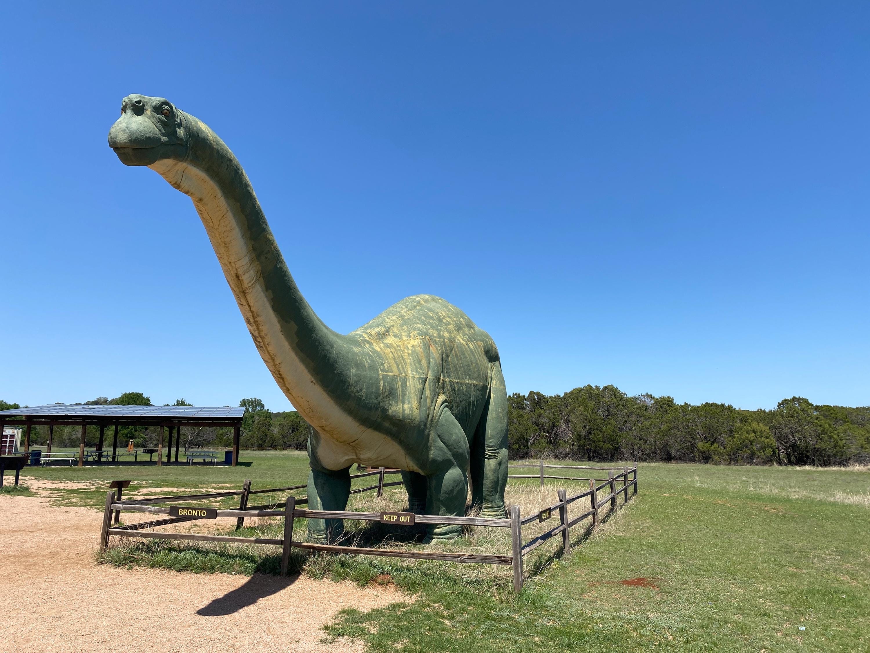 Where is Bronto Dinosaur Valley State Park Shirt - Sand Color Soft ...