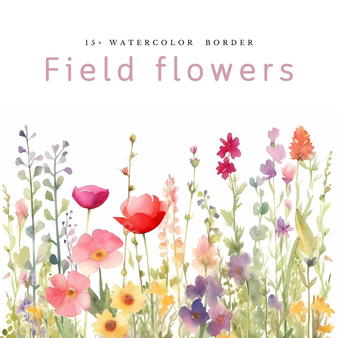 15+ Watercolor Floral Border High Quality Clipart - Wedding, Flower ...