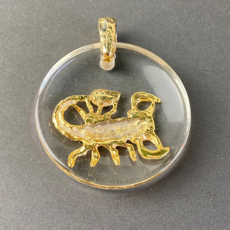 Vintage Lucite Zodiac Medallion Pendant Scorpio Embedded Gold Tone ...