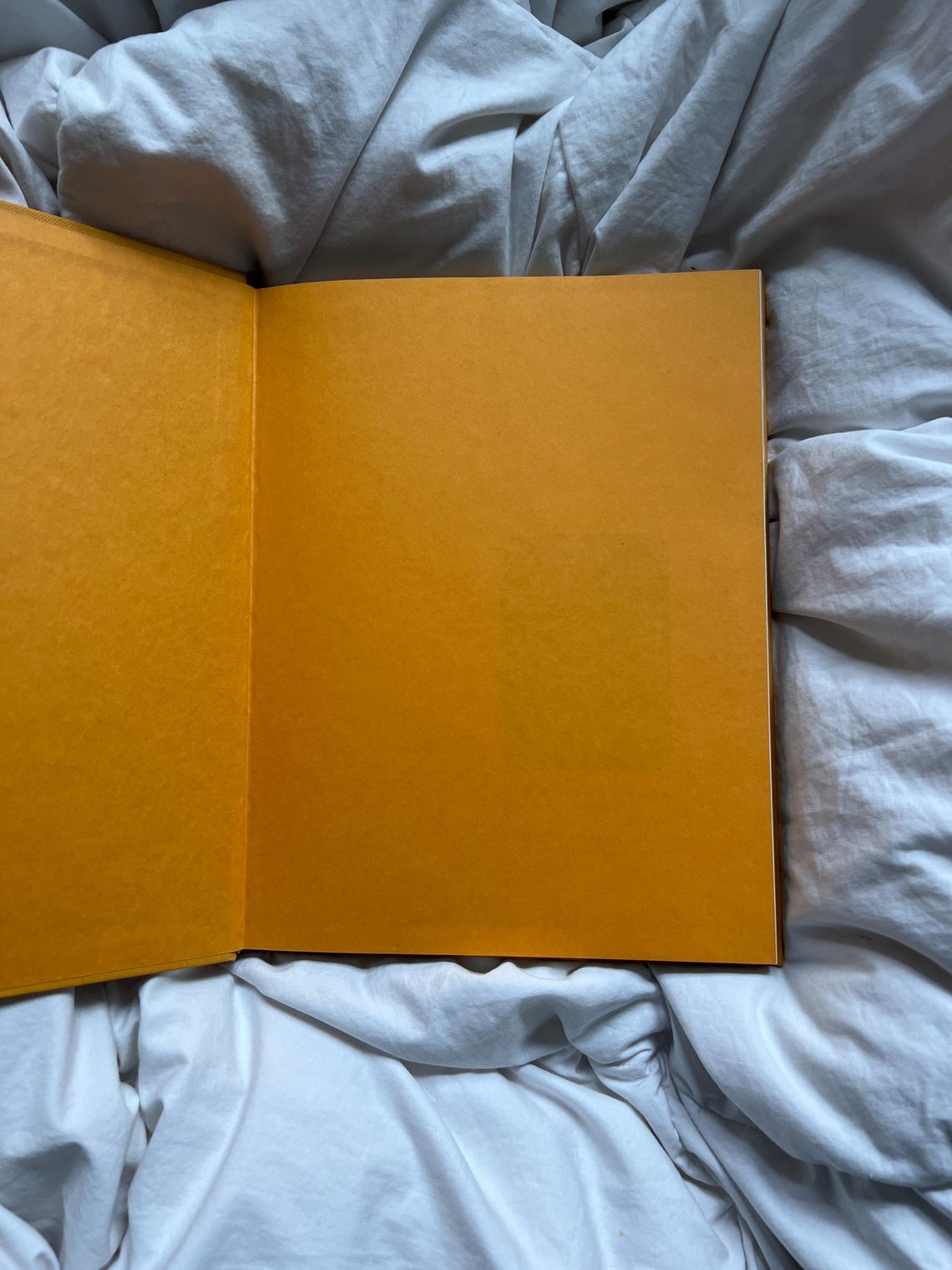 Vintage Hardcover Book: the Gift of Birds - Goldenrod Yellow Decor - Etsy