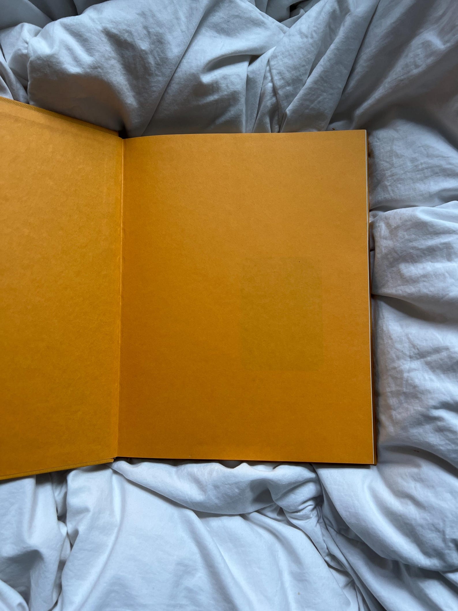 Vintage Hardcover Book: the Gift of Birds - Goldenrod Yellow Decor - Etsy