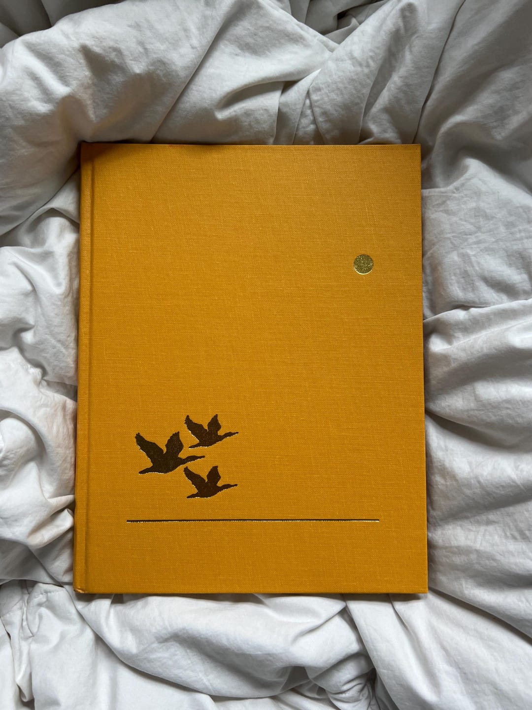 Vintage Hardcover Book: the Gift of Birds - Goldenrod Yellow Decor - Etsy