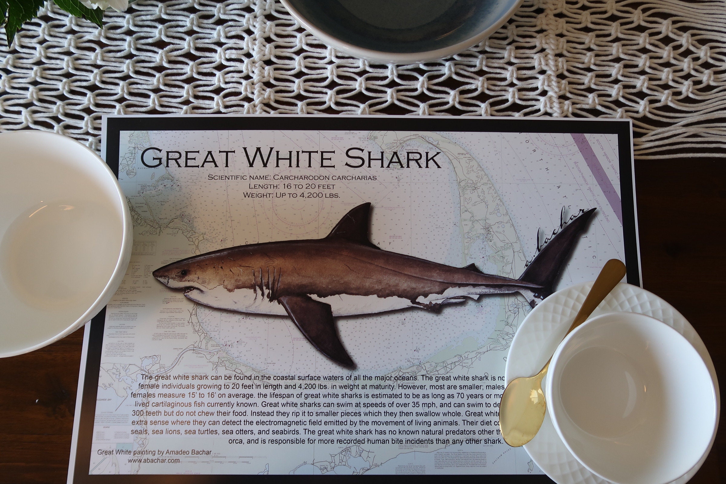 Great White Shark Placemat - Etsy