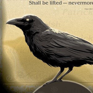 The Raven - an Original Digital Illustration Created by Patrick Welsh ...