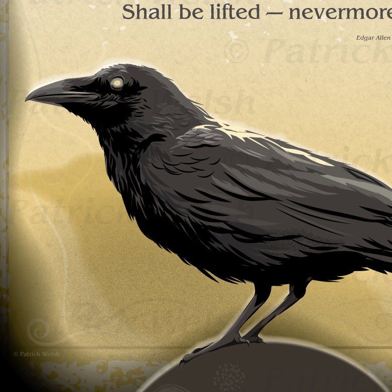 The Raven - an Original Digital Illustration Created by Patrick Welsh ...