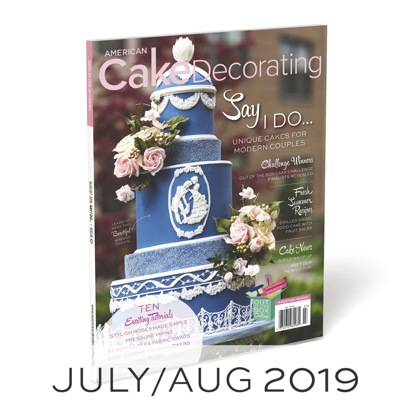 Home & Hobby Craft Supplies & Tools Food & Fermenting The American Cake ...