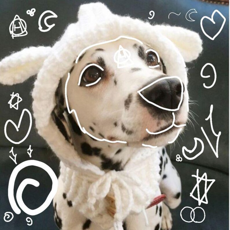 Hand Made Dalmatian Dog Therian Mask - Etsy