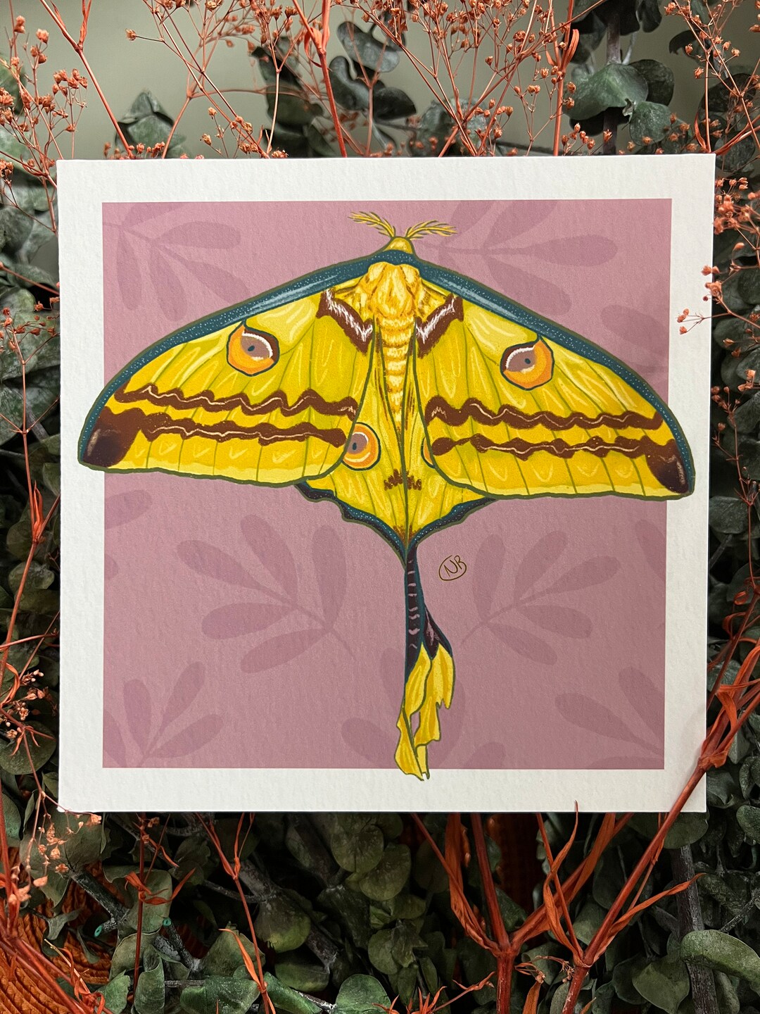 Comet Moth Print , Moth Art, Moth Print, Wall Art, Insect Art, Insect ...