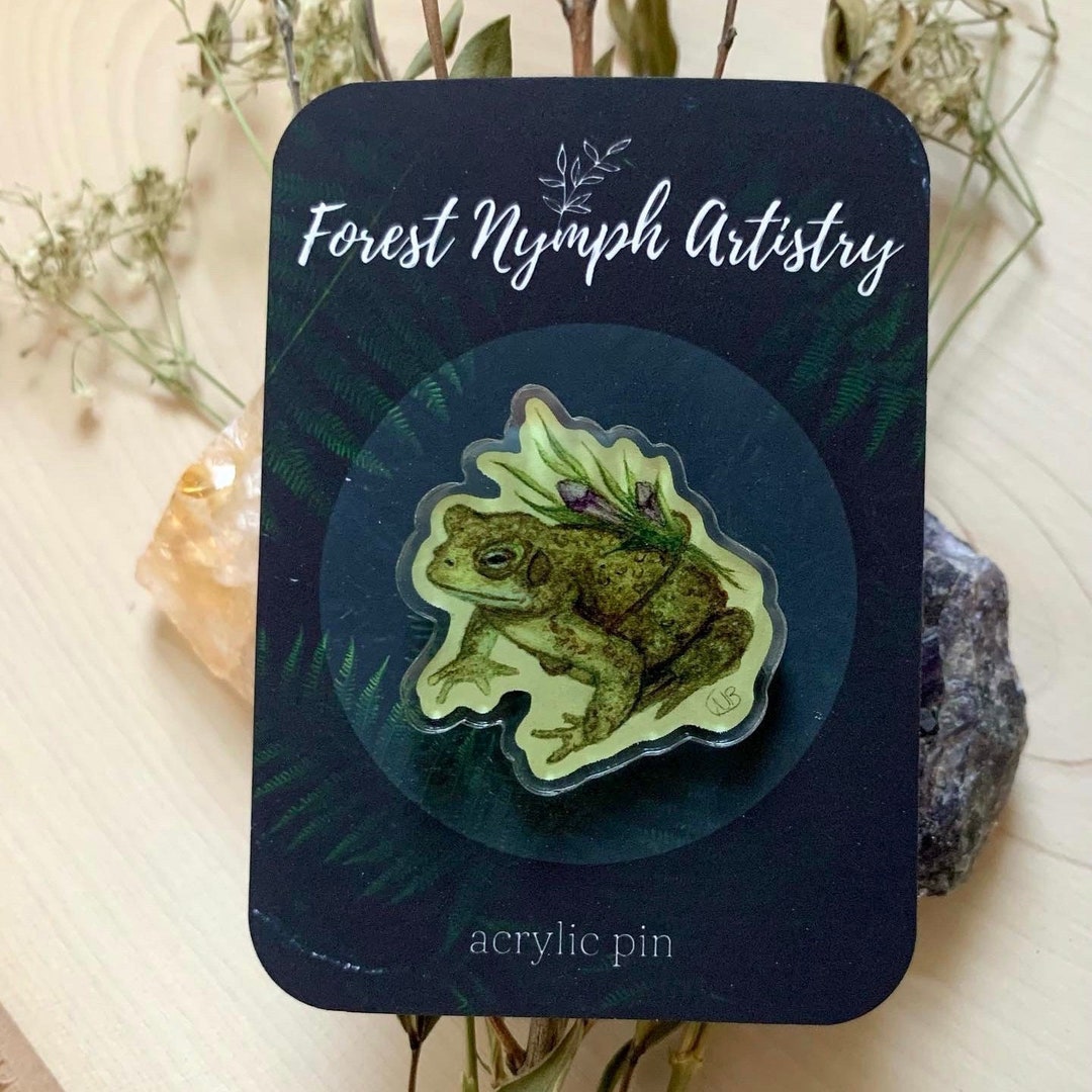 Acrylic Toad Art Pin Toad Toads Pin Pins Art Pin Toad - Etsy