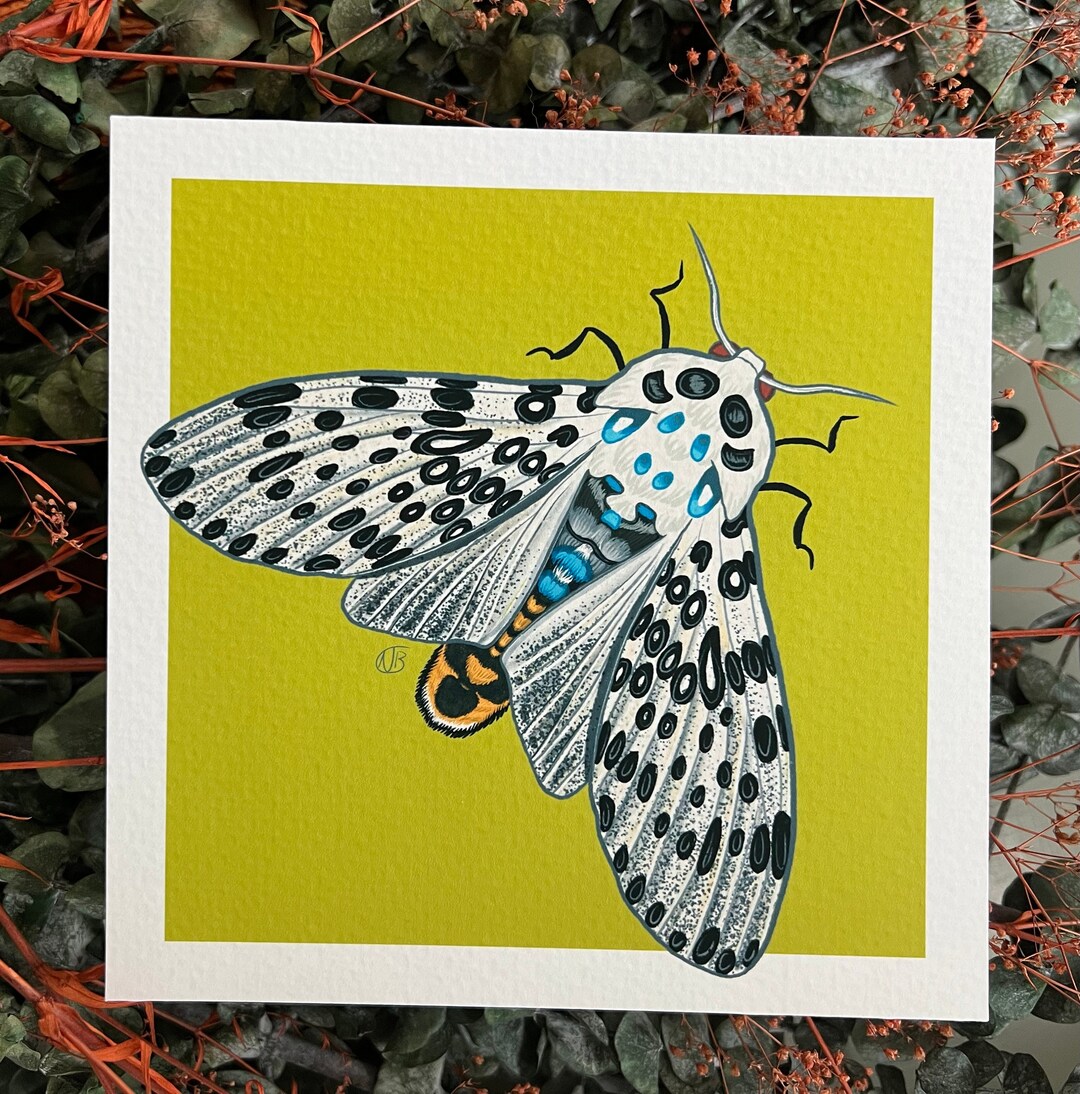 Giant Leopard Moth Print, Moth Print, Bug Print, Insect Art, Bug Art ...