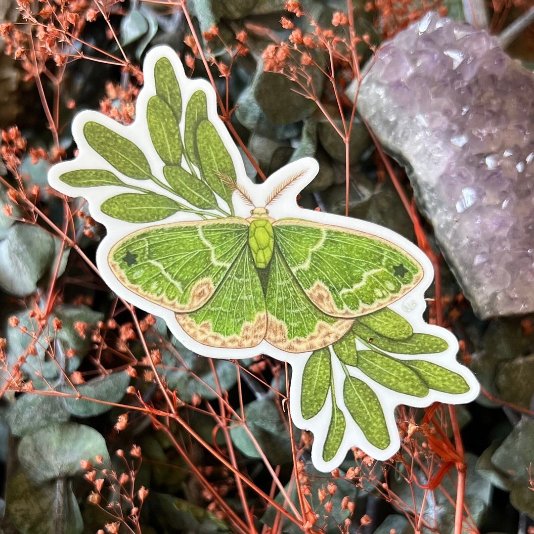 Vinyl Peridot Moth Sticker, Watercolor Painting Sticker, Art Sticker ...