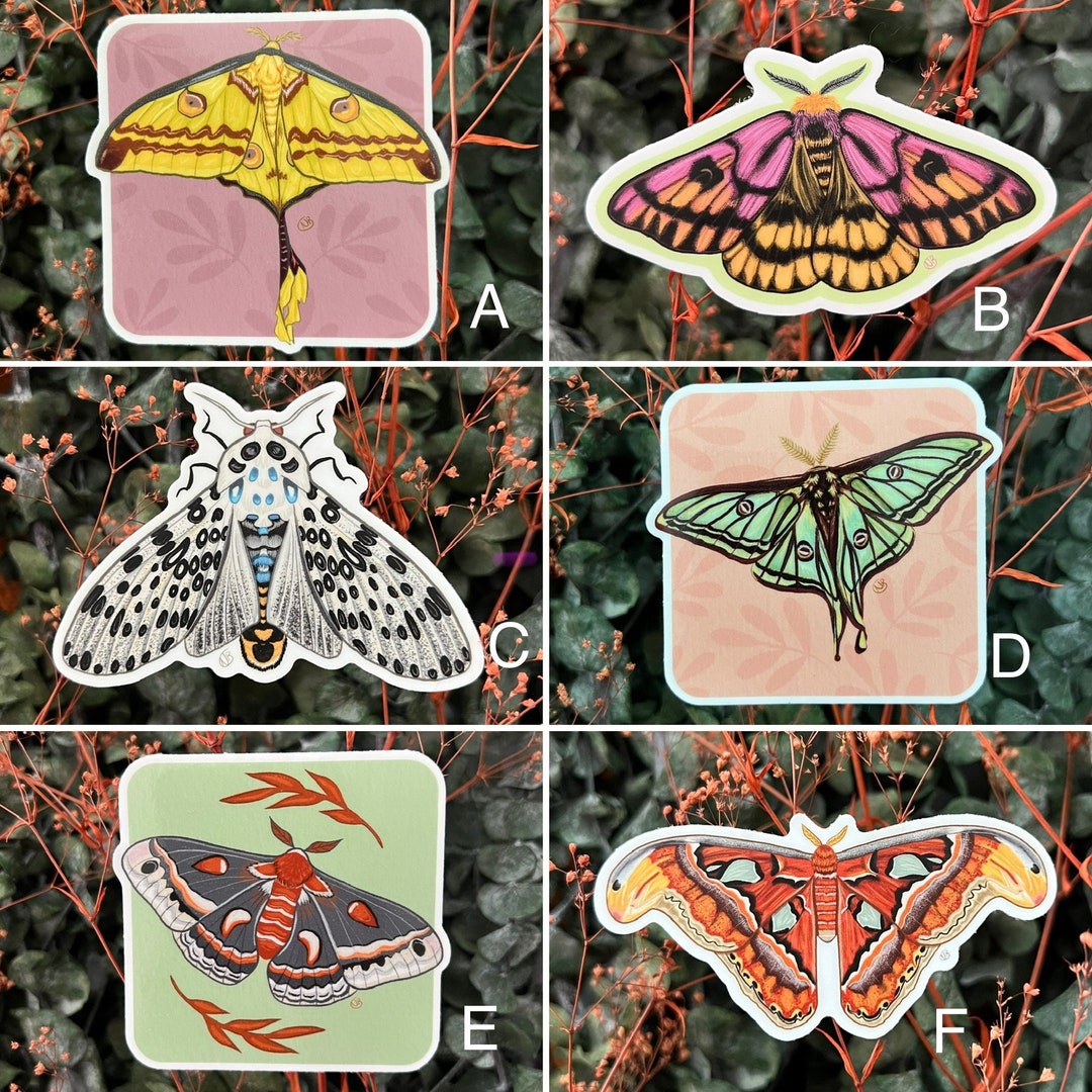 Vinyl Moth Sticker, Digital Painting, Digital Art Sticker, Stickers ...